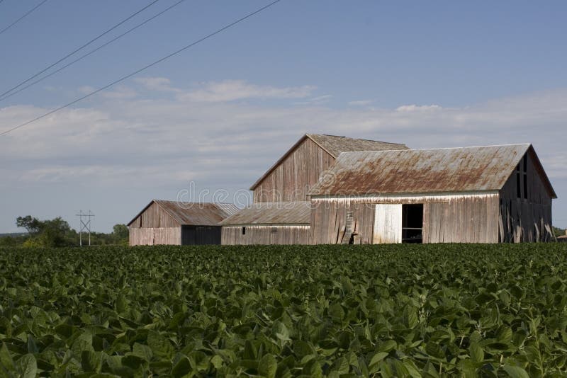 Barn Picture. Image: 296805