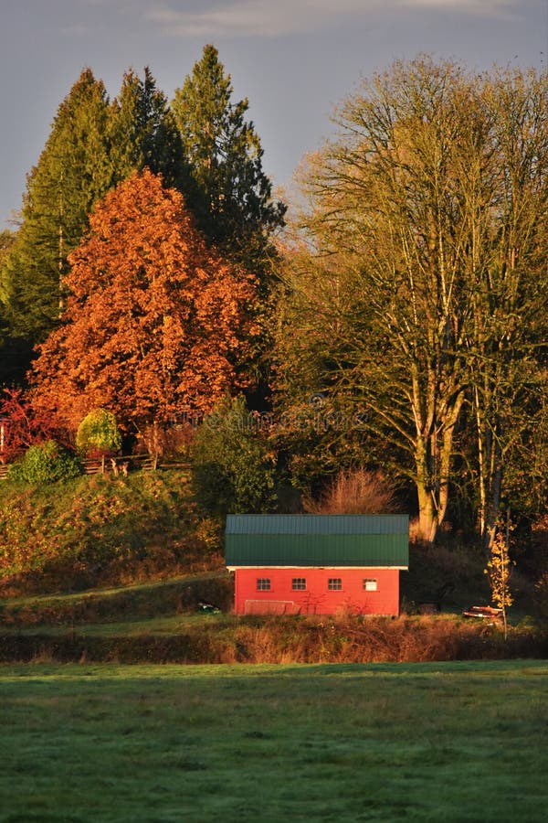Barn and Autumn Trees stock photo. Image of field, trees - 79624934