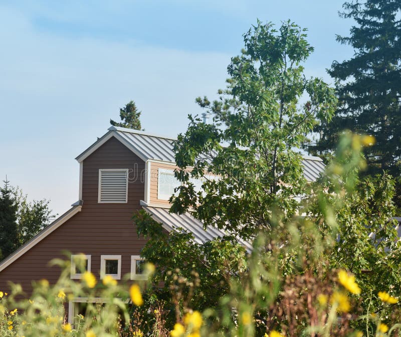 Barn behind Fall Foliage stock photo. Image of rustic - 100160332