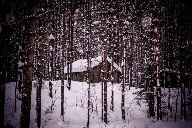 Barn, Built in a Winter Forest in a Blizzard Stock Photo - Image of ...