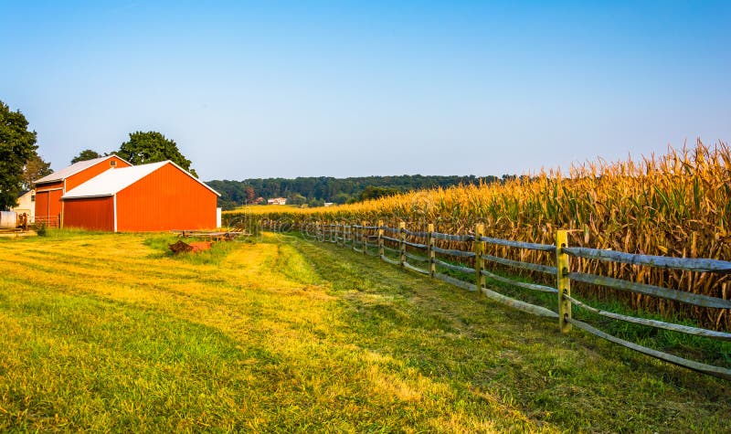 Barn and Corn Field on a Farm in Rural York County, Pennsylvania Stock ...