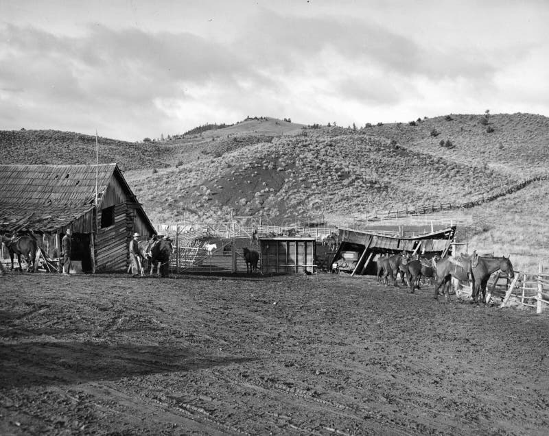 Barn, Corral, And Horses Picture. Image: 222396513