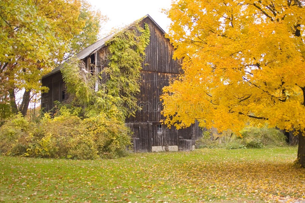 BArn in Fall stock image. Image of agriculture, fall - 11559803