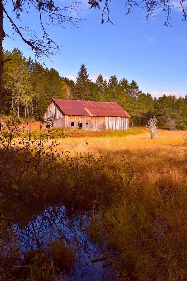 Red Barn, Fall Foliage stock photo. Image of bright, seasonal - 6683118