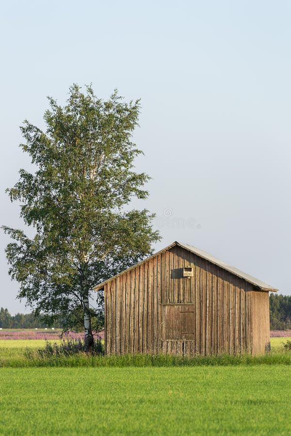 Barn in Farmfield by Tree with a Full Moon Stock Photo - Image of ...