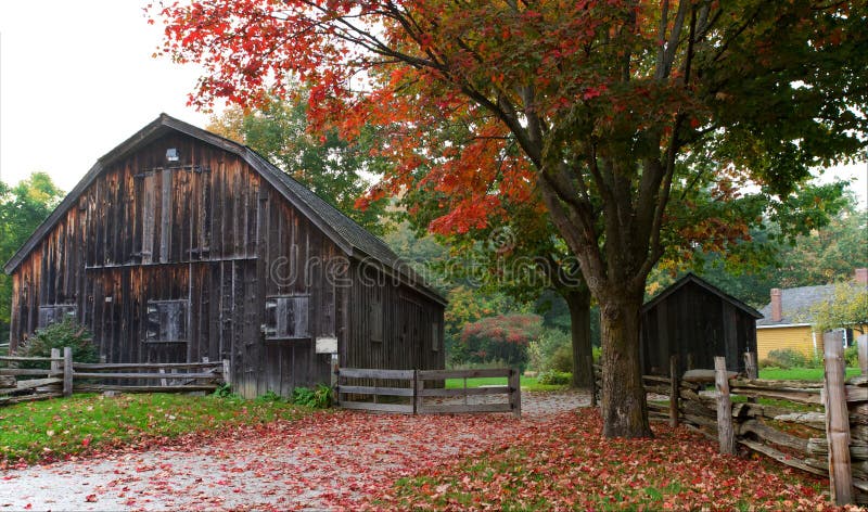Woodstock Barn in Vermont during Autumn Stock Photo - Image of bridge ...