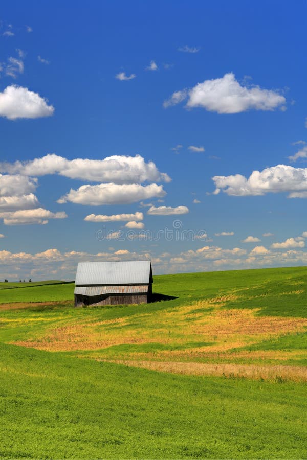 Old Barn in Field on Overcast Day. Stock Image - Image of wooden, roof ...