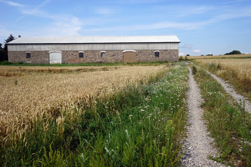 Barn and field stock photo. Image of agriculture, tree - 156476838