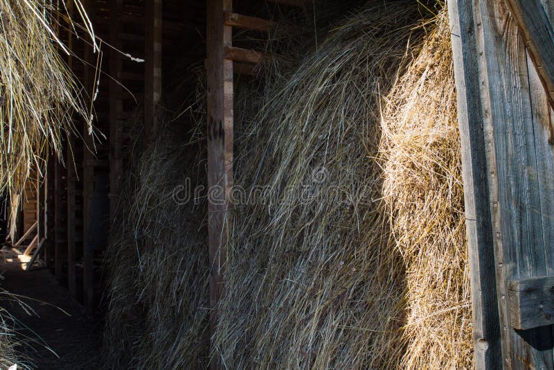 Barn filled with hay stock image. Image of food, grass - 61393153