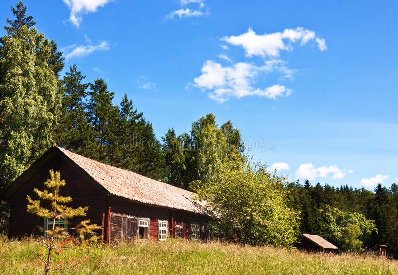 Barn in the forest. stock photo. Image of production - 20220492