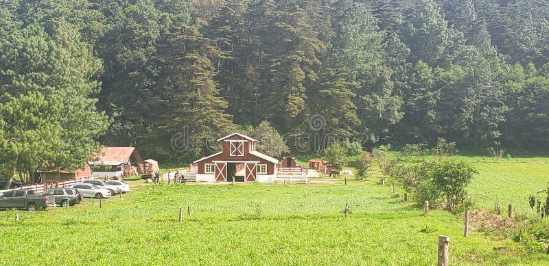 Barn forest view stock image. Image of plant, grassland - 219819479