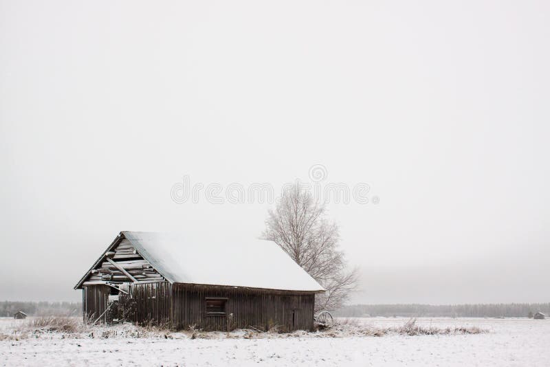 Barn House after Snow Storm Stock Image - Image of landscapes, birch ...