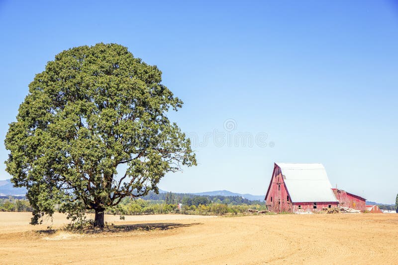 Barn stock photo. Image of barn, scene, vintage, dirt - 78958576