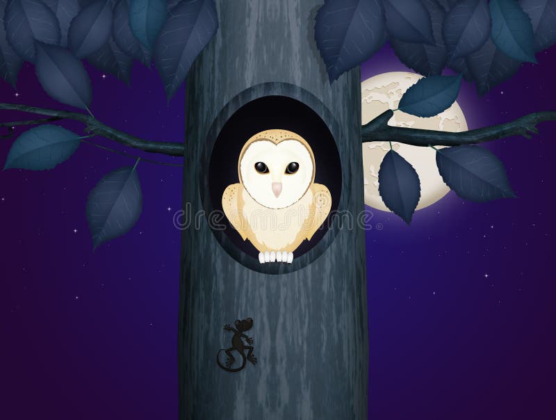 Barn owl in the tree house stock illustration. Illustration of house ...