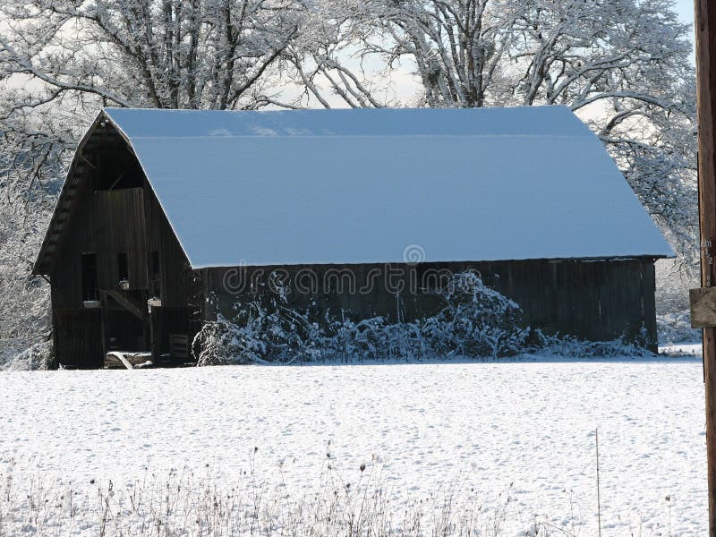 Barn in the Snow stock photo. Image of animals, christmas - 11001472