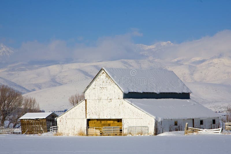 Barn in Snow stock photo. Image of winter, utah, snow - 13063256