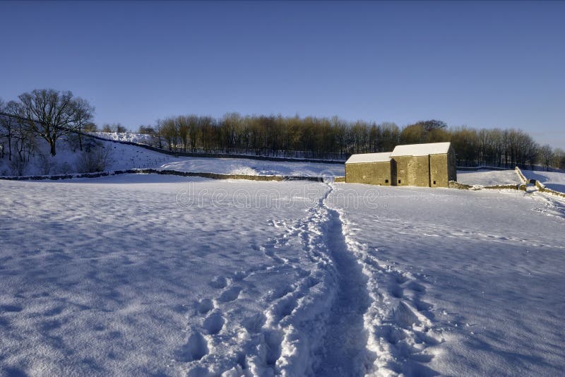 Snowy agricultural scene stock photo. Image of freeze - 8202022