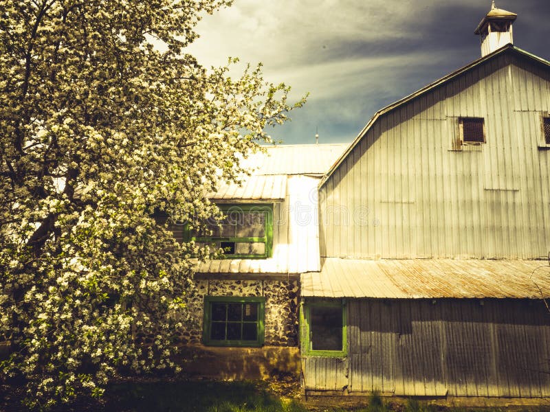 A barn in spring stock photo. Image of spring, trees - 93621894