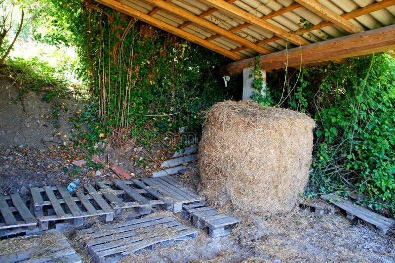 Barn with the Stack of Hay. Stock Image - Image of agriculture ...