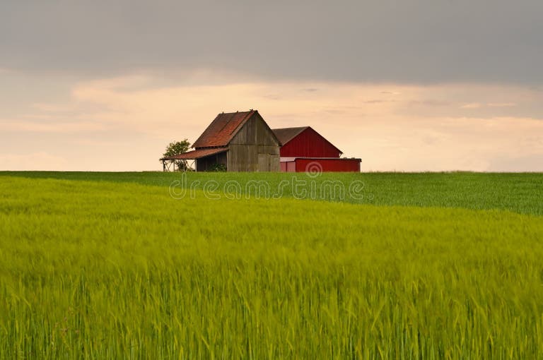 Barn in sunset light stock photo. Image of building, agriculture - 19892062