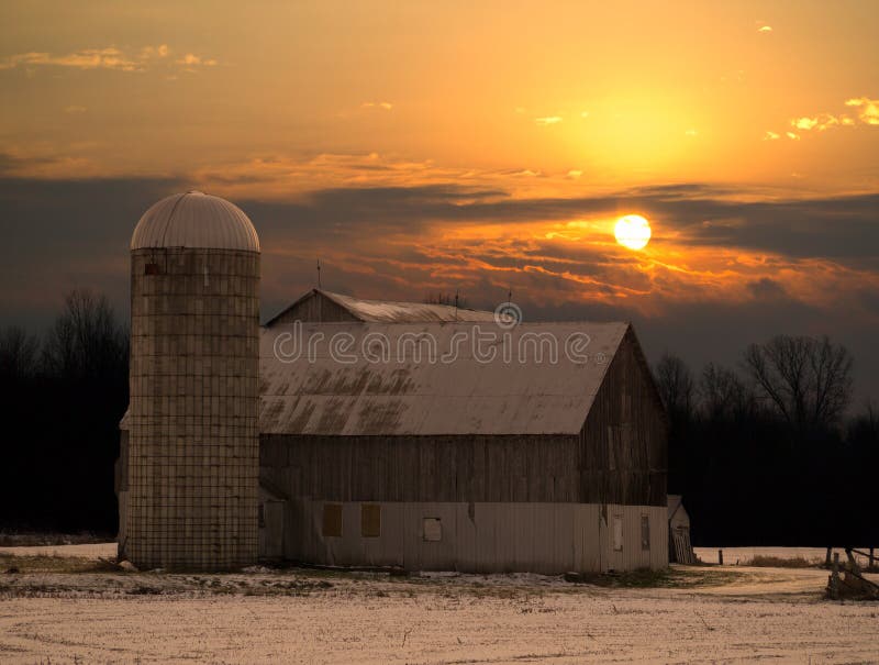 Red Farm Barn with Cows stock image. Image of summer - 27597443