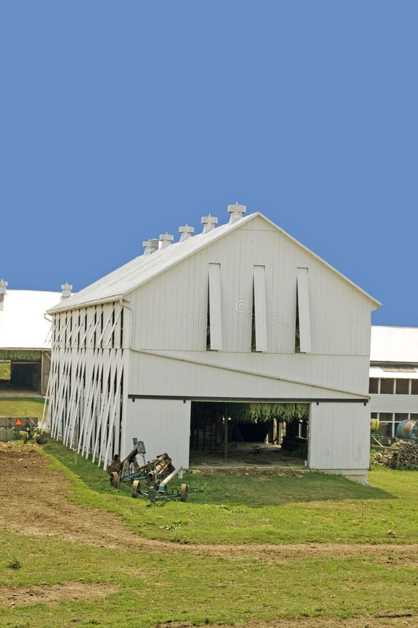 Barn with Tobacco Hanging To Dry Stock Image - Image of pennsylvania ...