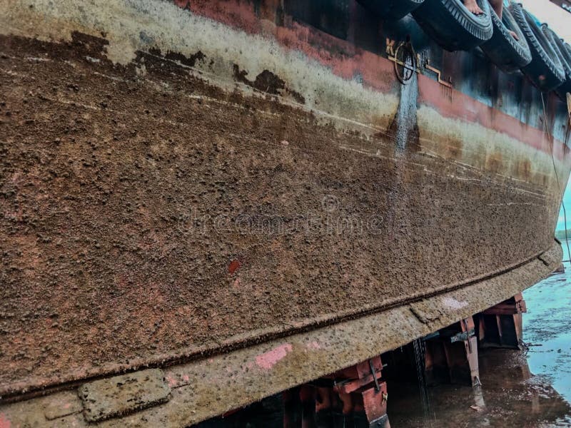 Barnacles Attached To the Surface of the Ship& X27;s Hull Plate Stock ...
