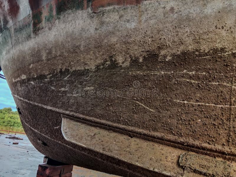Barnacles Attached To the Surface of the Ship& X27;s Hull Plate Stock ...