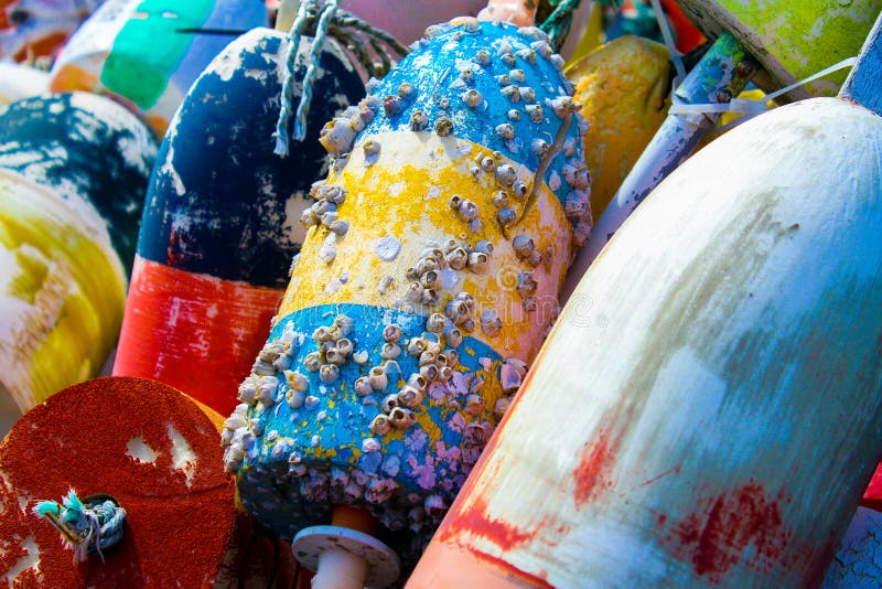 Barnacles on Buoys. stock photo. Image of buoys, growing - 43937408