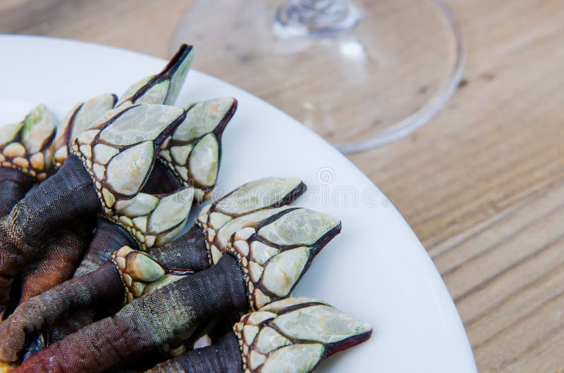 Cooked Barnacles Stock Photos - Free & Royalty-Free Stock Photos from ...