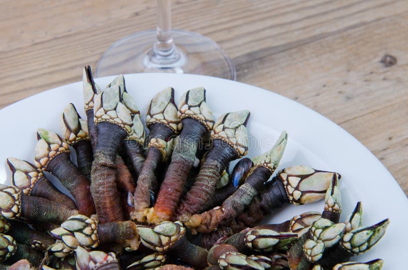Cooked Barnacles Stock Photos - Free & Royalty-Free Stock Photos from ...