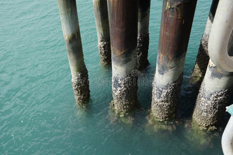 Seisia Cape York Australia stock photo. Image of north - 260327182