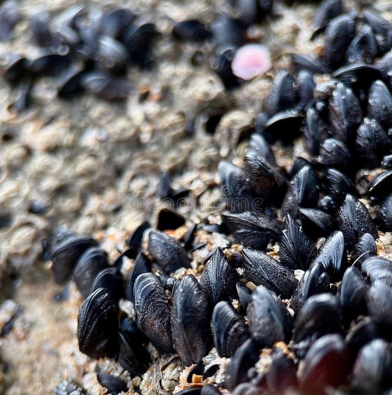 Stuck between a Rock and a Hard Place Down a Very Narrow Alley Stock ...