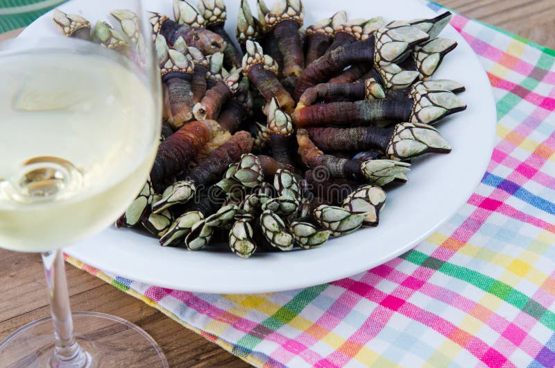 Barnacles and wine stock image. Image of galicia, cook - 37493727