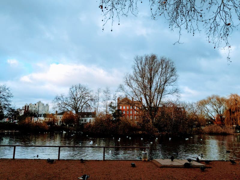 Barnes Pond, London UK stock photo. Image of skies, fauna - 210410592