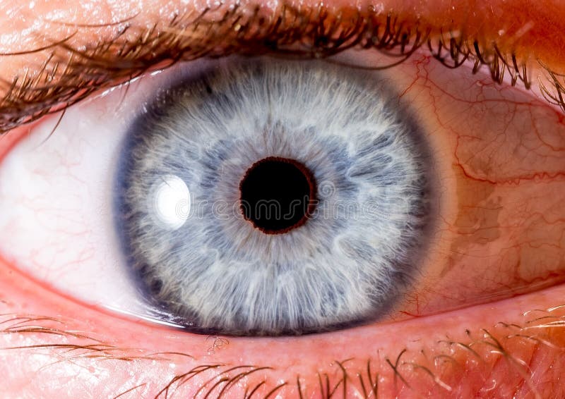 Iris Photography. Close Macro Shot of an Eyeball. Blue and Whiteclose ...