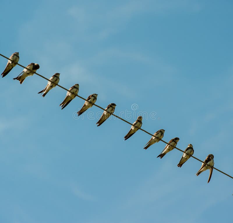 Barns stock image. Image of action, group, spring, blue - 41862963