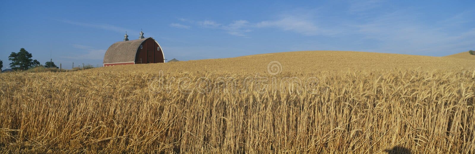Rolling Farm Fields stock photo. Image of farmland, ecological - 23175396