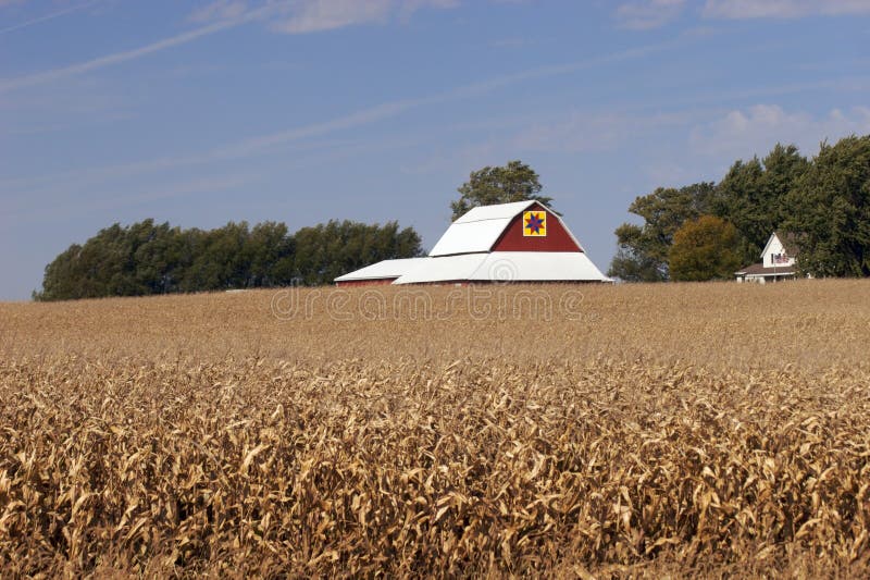 Corn Field stock photo. Image of field, corn, barn, sepia - 13516008