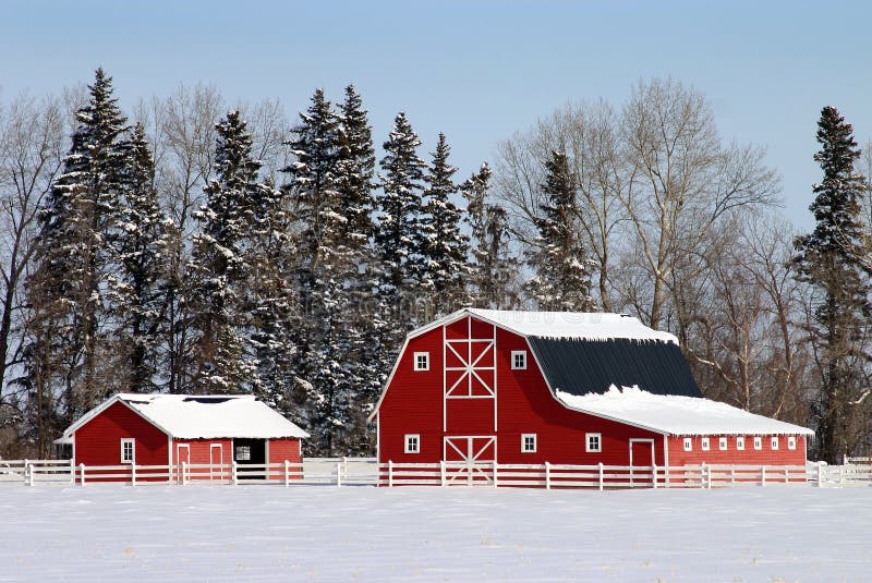 Old Barnyard stock photo. Image of farmyard, stable, building - 5655272