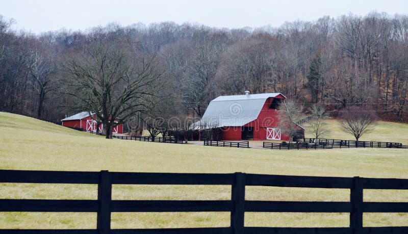Barnyard stock photo. Image of countryside, hillbilly - 90685770