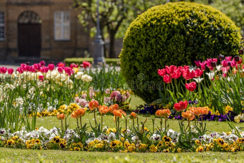 Barocker Garten Mit Blumen Und Tulpen Stockfoto - Bild von park ...