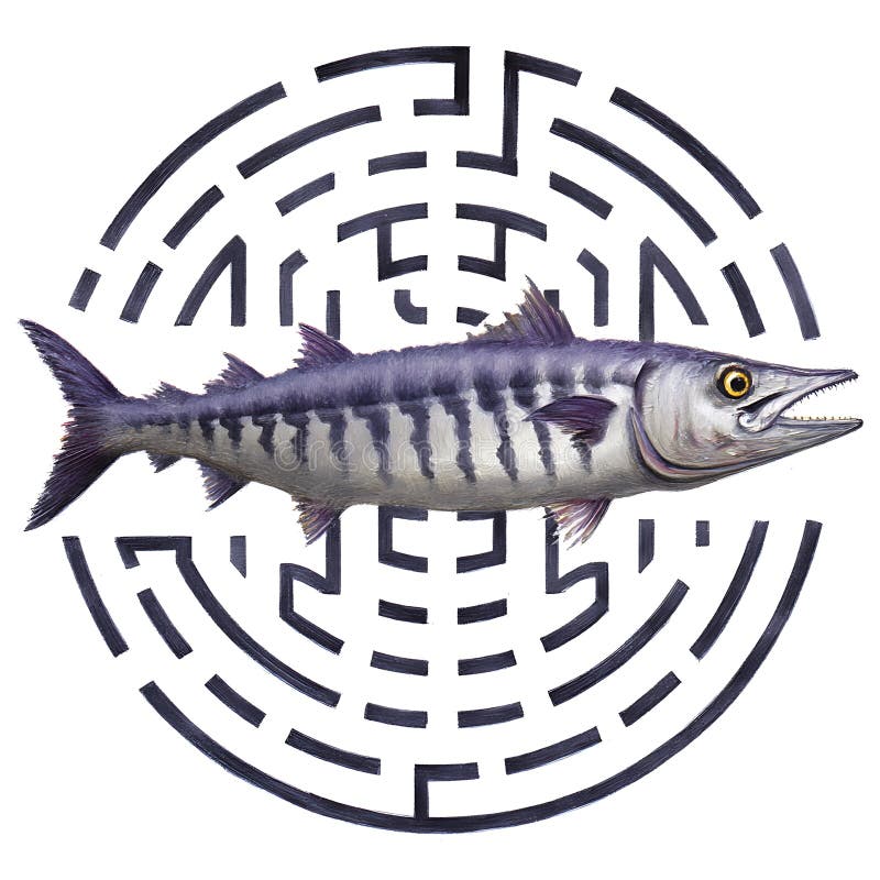 Barracuda Fish Fishing Logo, Jumping Fish Design Template Vector. Great ...