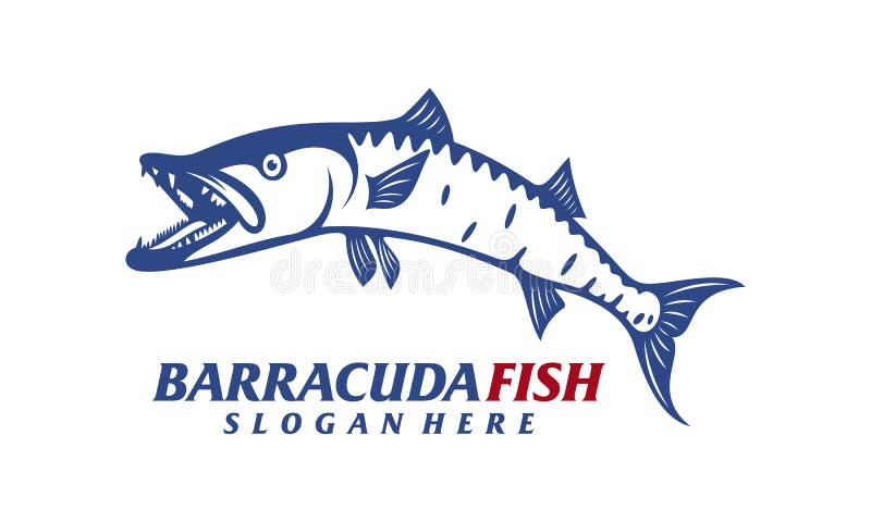 Barracuda Illustration Stock Illustrations – 483 Barracuda Illustration ...