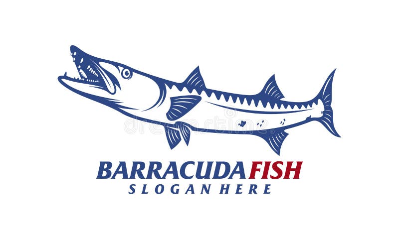 Barracuda Illustration Stock Illustrations – 483 Barracuda Illustration ...