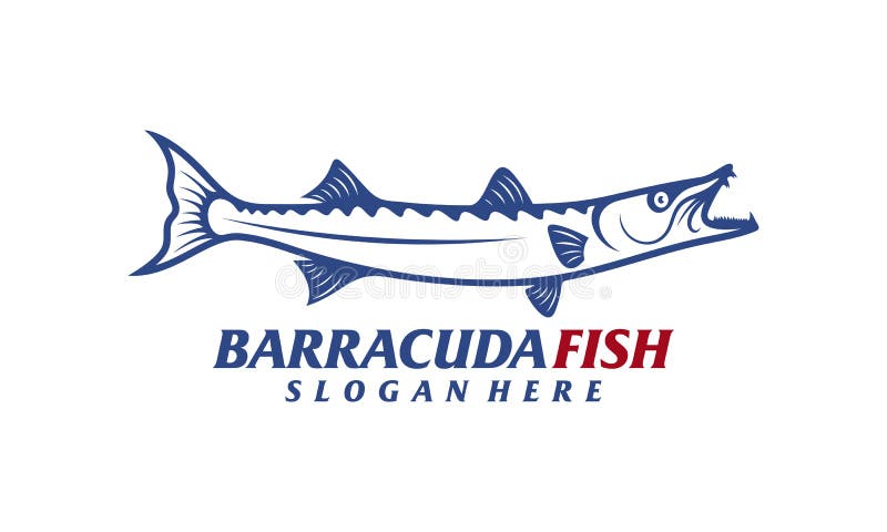 Barracuda Fish Design Vector Illustration, Creative Barracuda Fish Logo ...