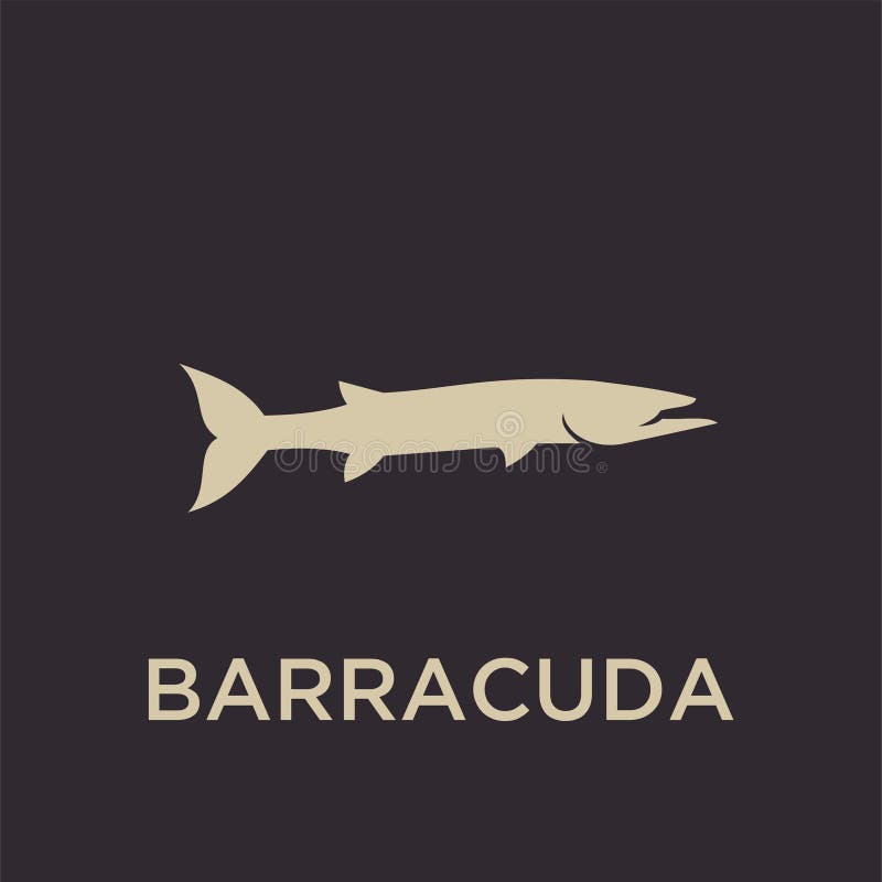 Barracuda Fish Logo Icon Designs Illustration Stock Illustration ...