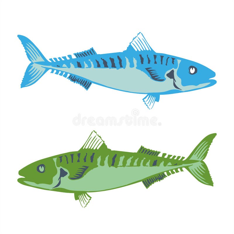 Barracuda Fish in the Sea Vector Logo and Illustration Stock Vector ...