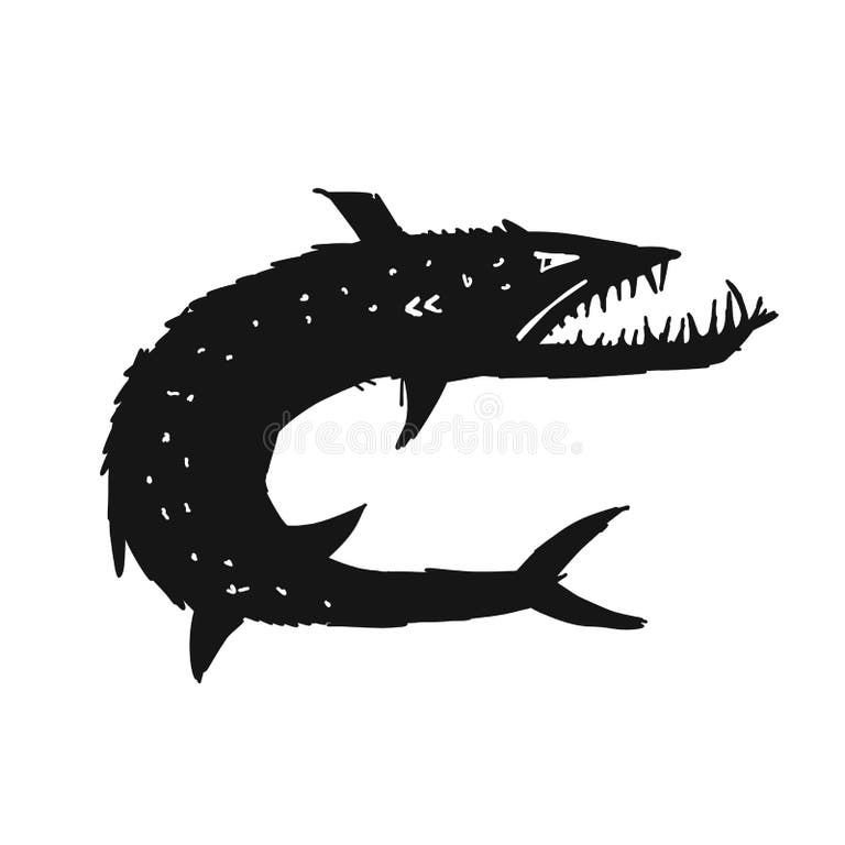 Barracuda Skeleton Stock Illustrations – 62 Barracuda Skeleton Stock ...