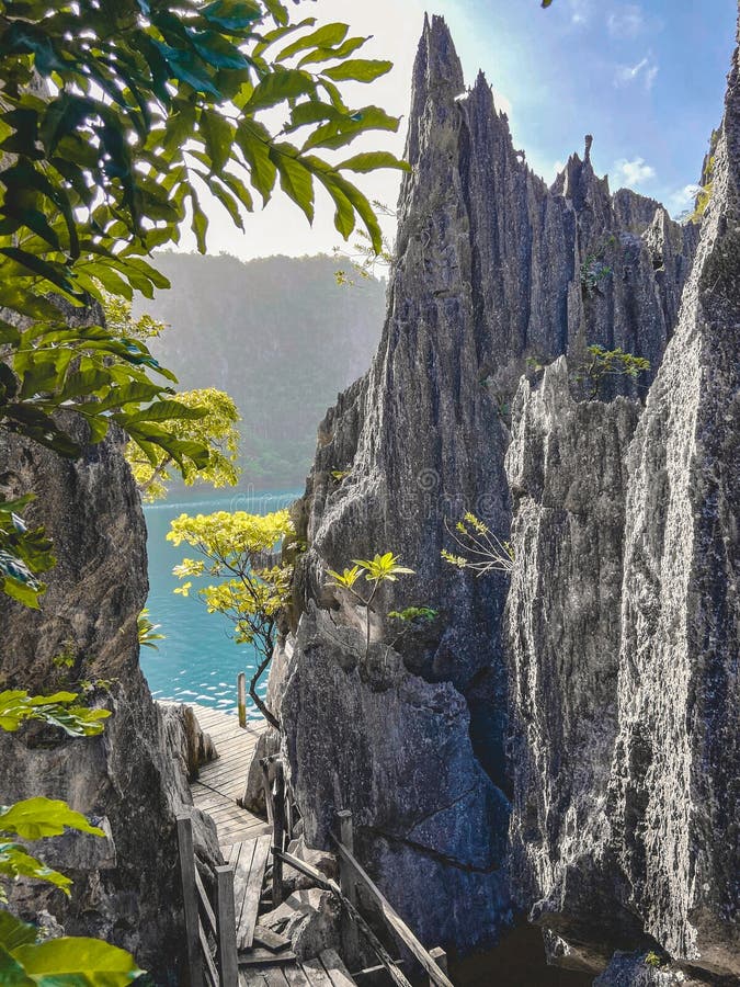 Barracuda Lake in Coron, Palawan, Philippines Stock Photo - Image of ...